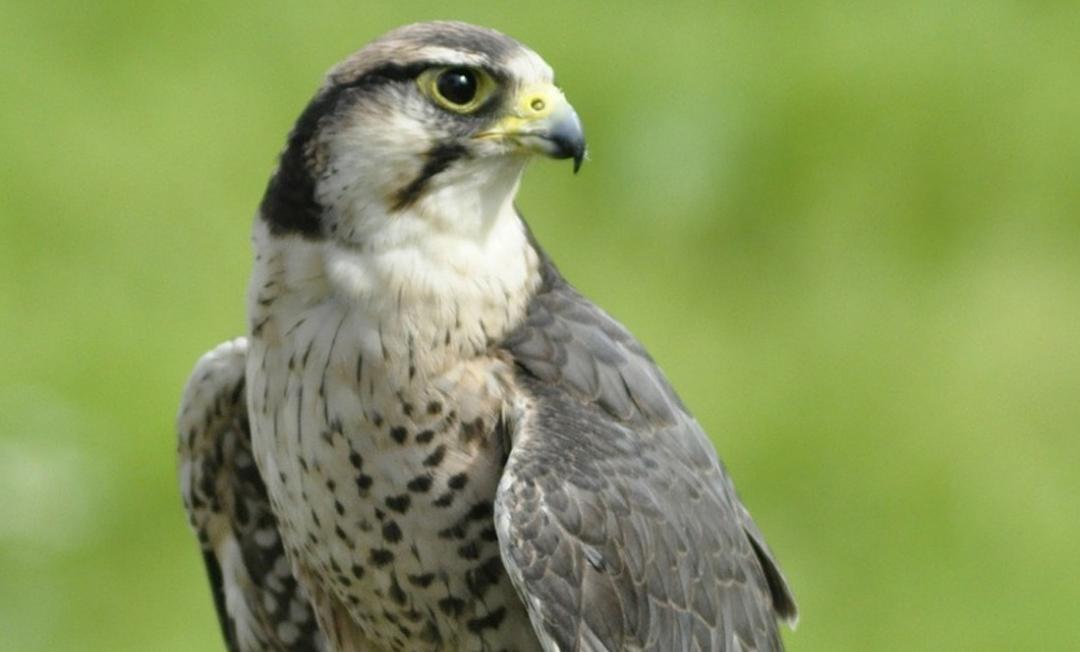 img_1714191784420_99.jpg?