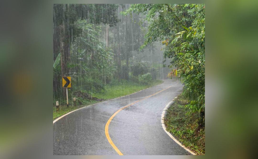 img_1712199167276_412.jpg?