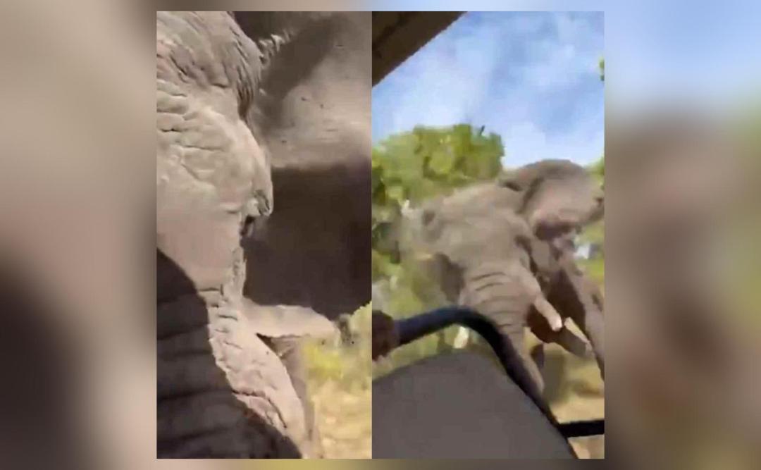 img_1712200075270_805.jpg?