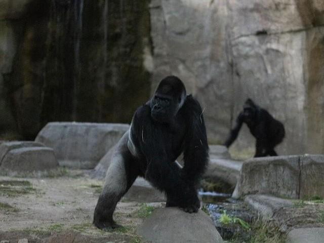 img_1712642026624_325.jpg?