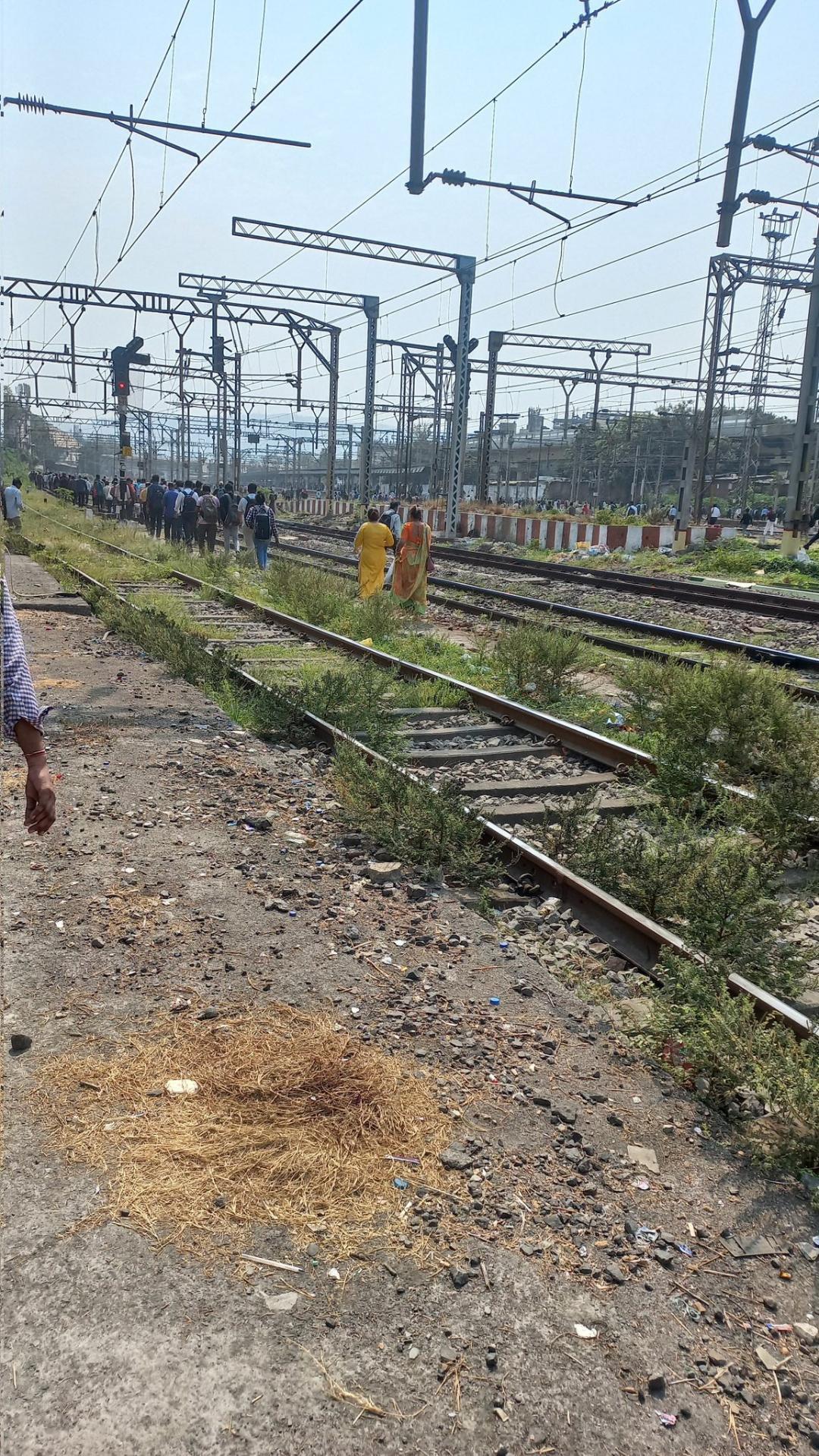 Train services restored after signal failure leads to chaos on CR ...