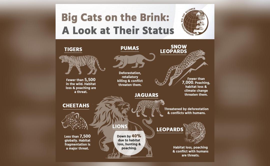 img_1716024501242_7.jpg?