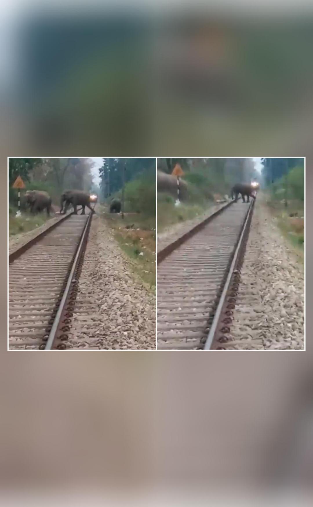 img_1716028396813_572.jpg?