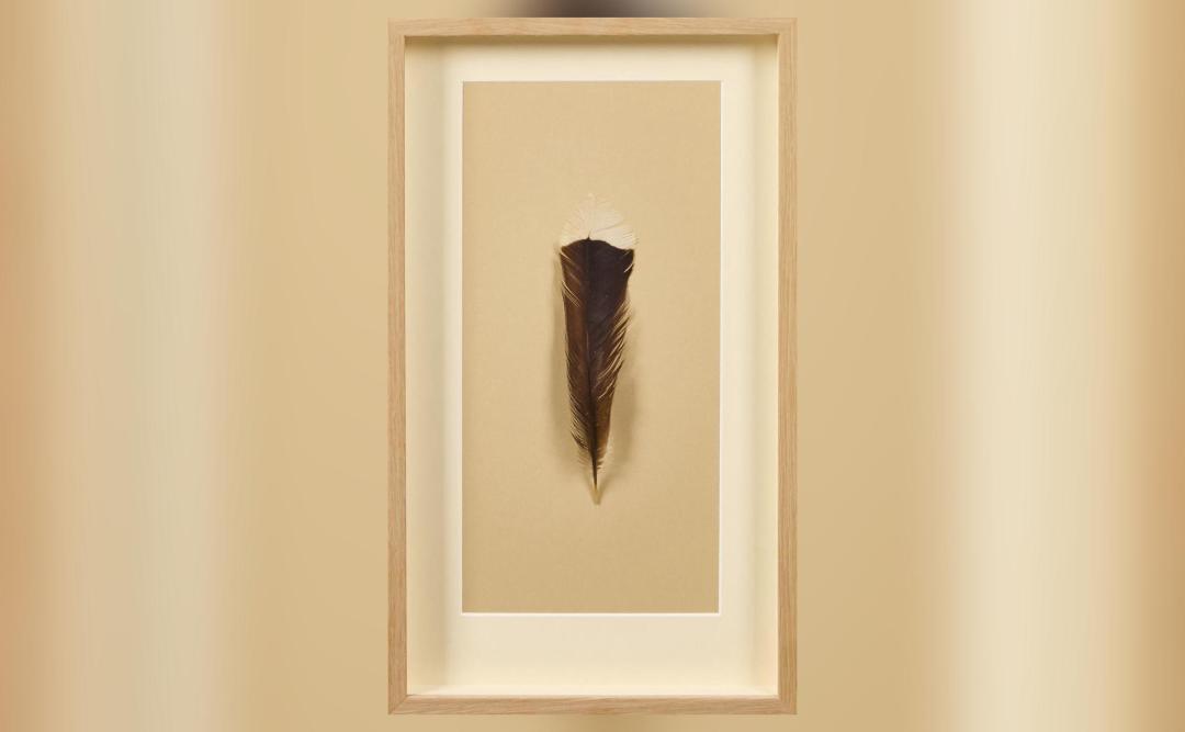 img_1716289632066_649.jpg?