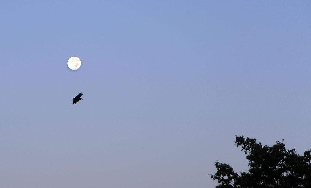 img_1716474040918_285.jpg?