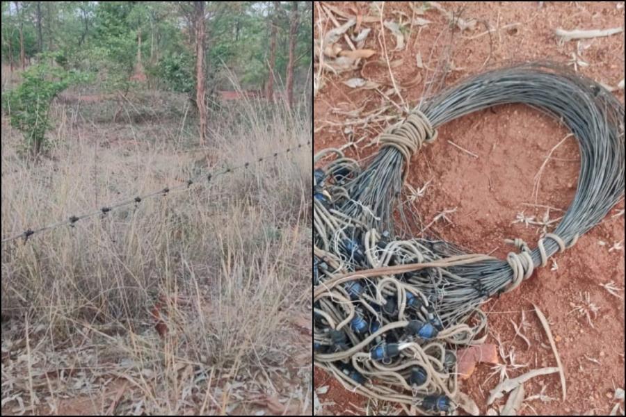 img_1716562418021_837.jpg?