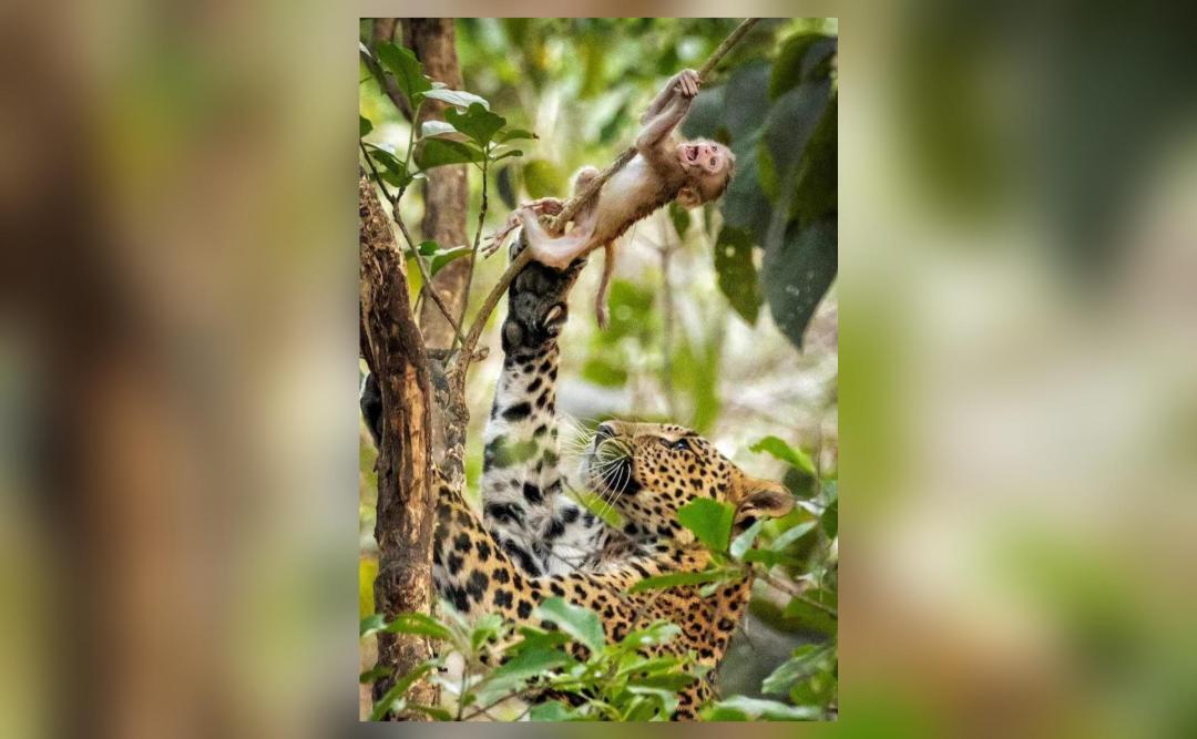 img_1716563747281_668.jpg?