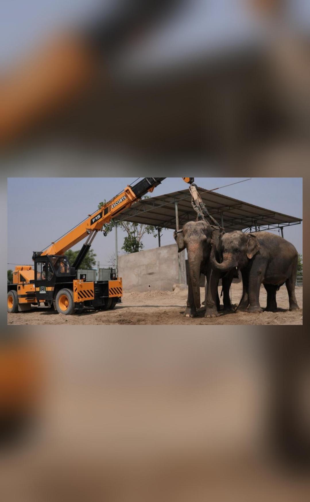 img_1716564511631_796.jpg?