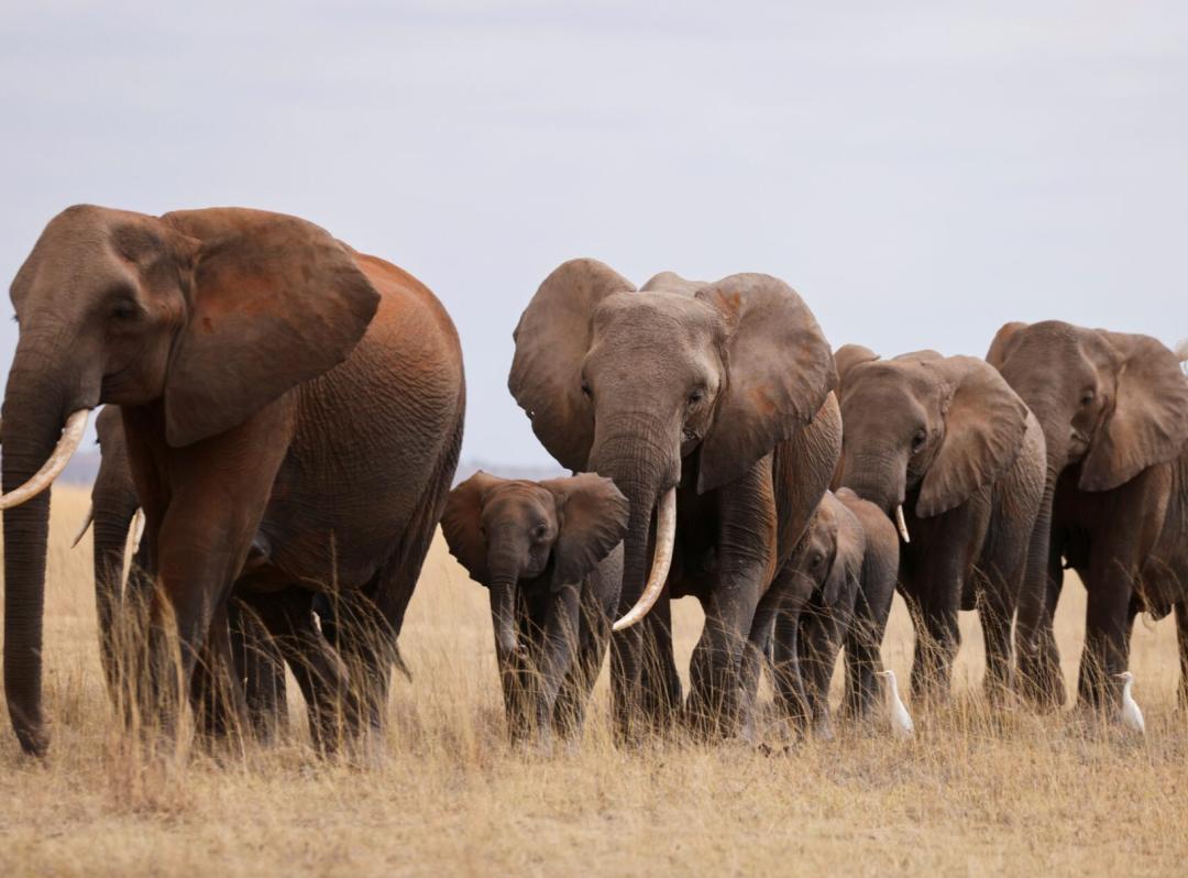 img_1718088355098_966.jpg?