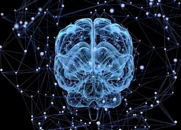 World's first 'living' computer with human brain tissue created in ...