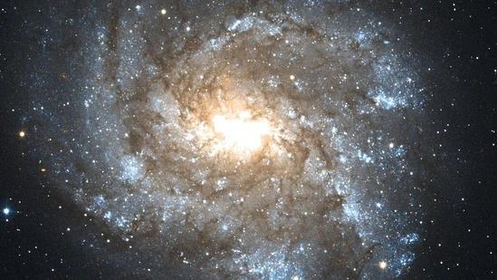 img_1718273520360_595.jpg?