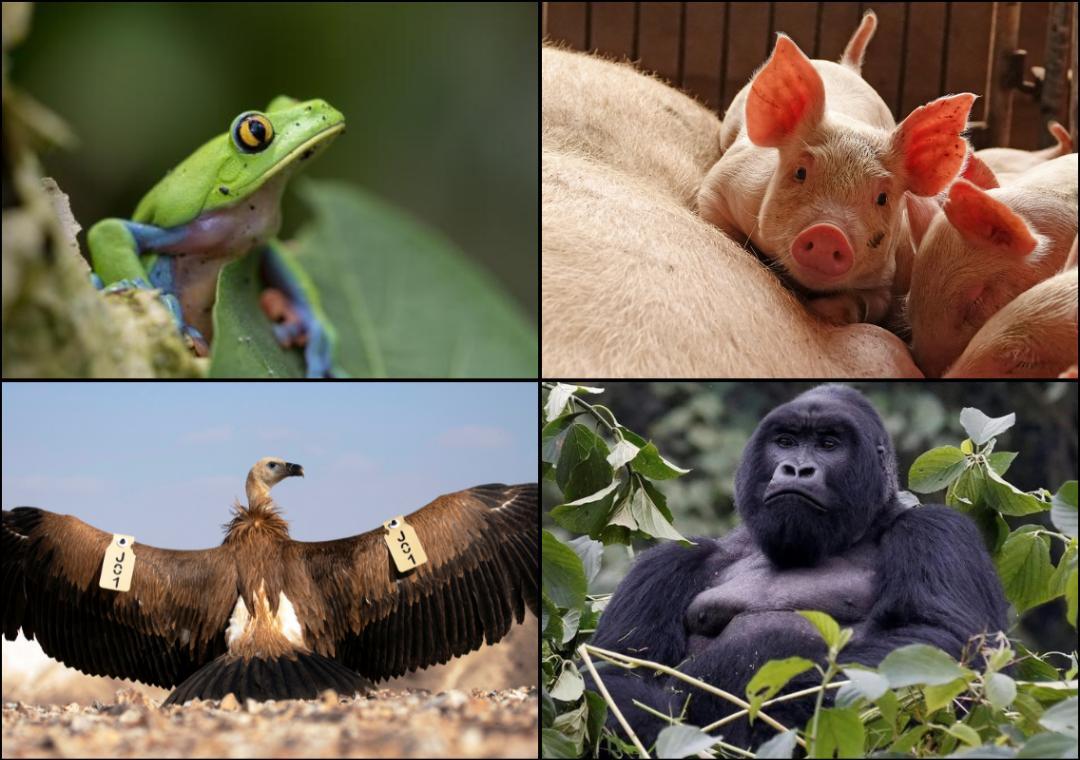 img_1718692596305_635.jpg?