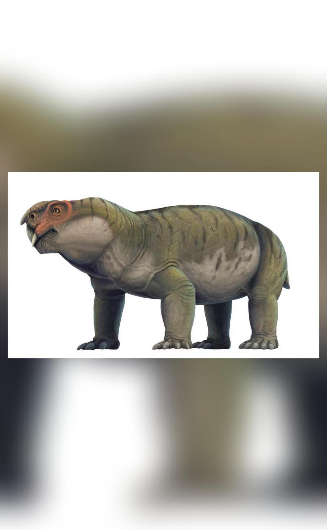 img_1719029529864_424.jpg?