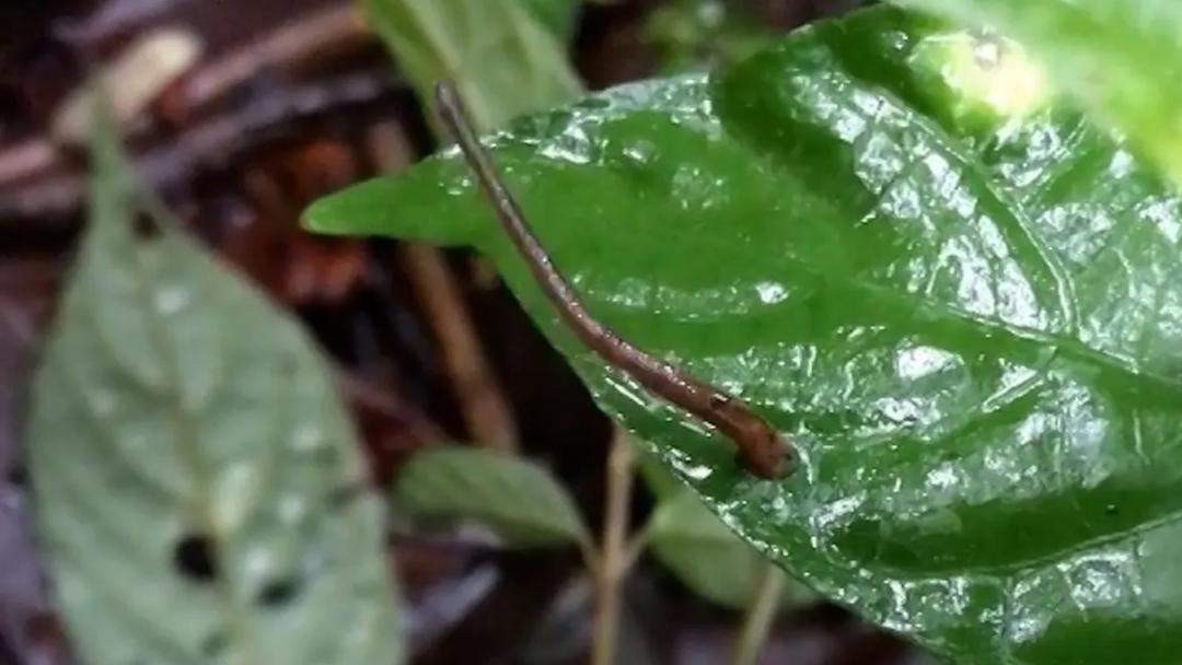 img_1719309793031_411.jpg?