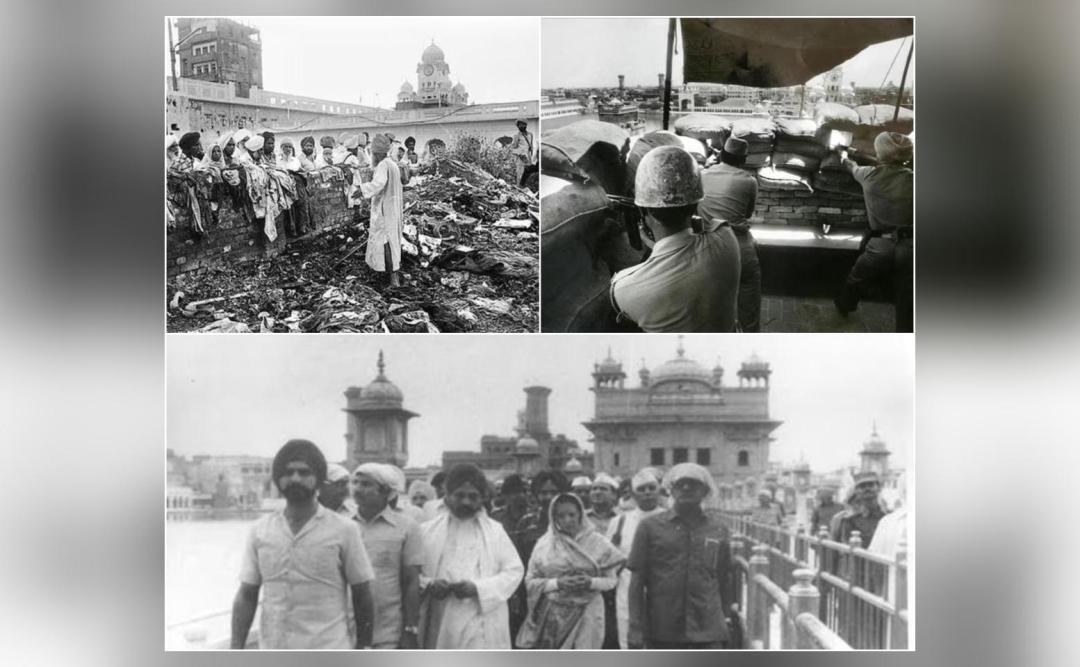 img_1717670856297_349.jpg?