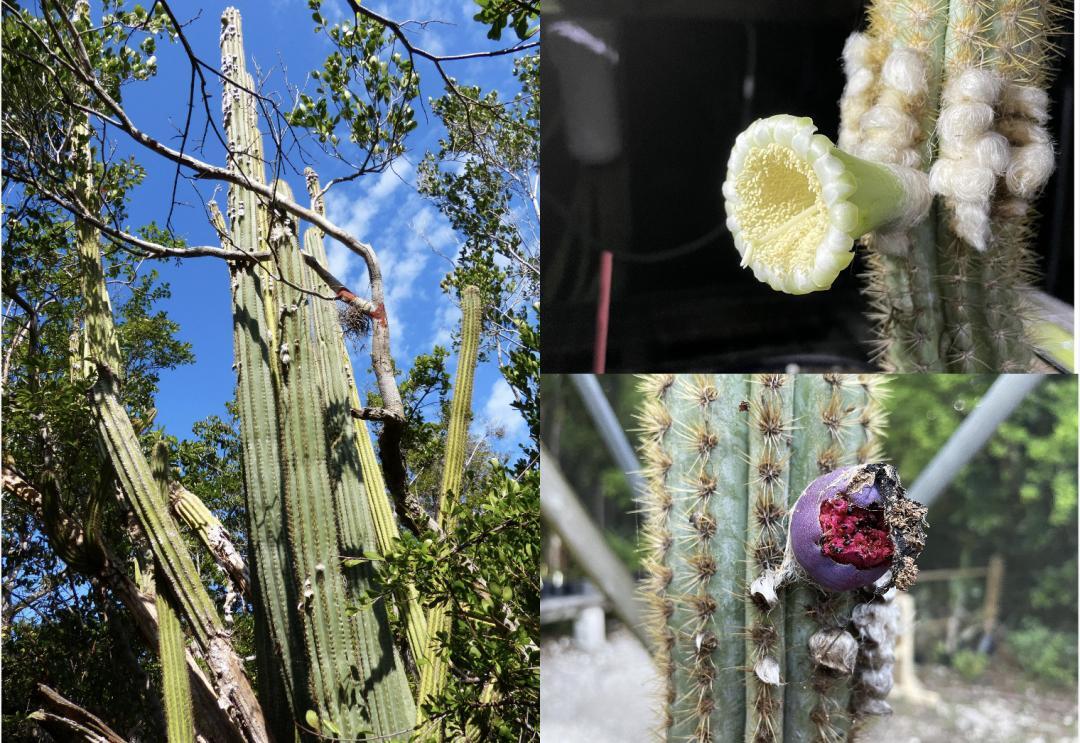 img_1720600336723_361.jpg?