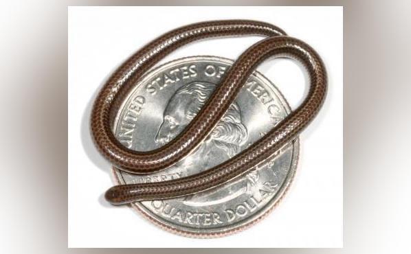 img_1721126393307_160.jpg?