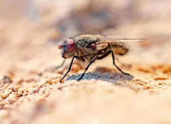 img_1721983241425_473.jpg?