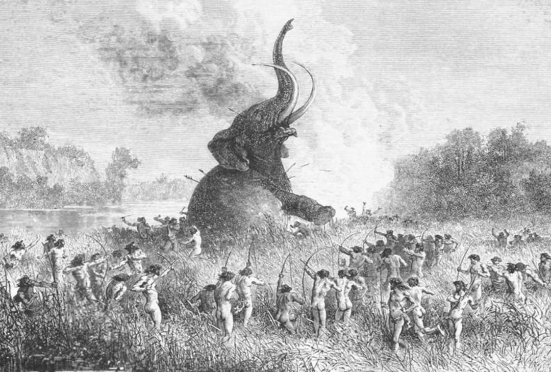 img_1719907196915_85.jpg?