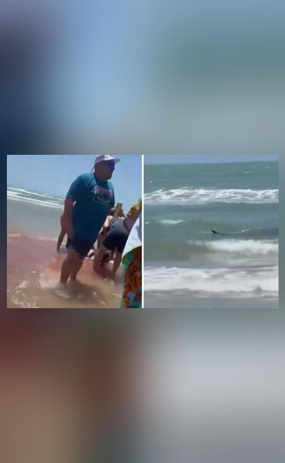 Video shows seawater turning red as shark attacks 4 people in US ...