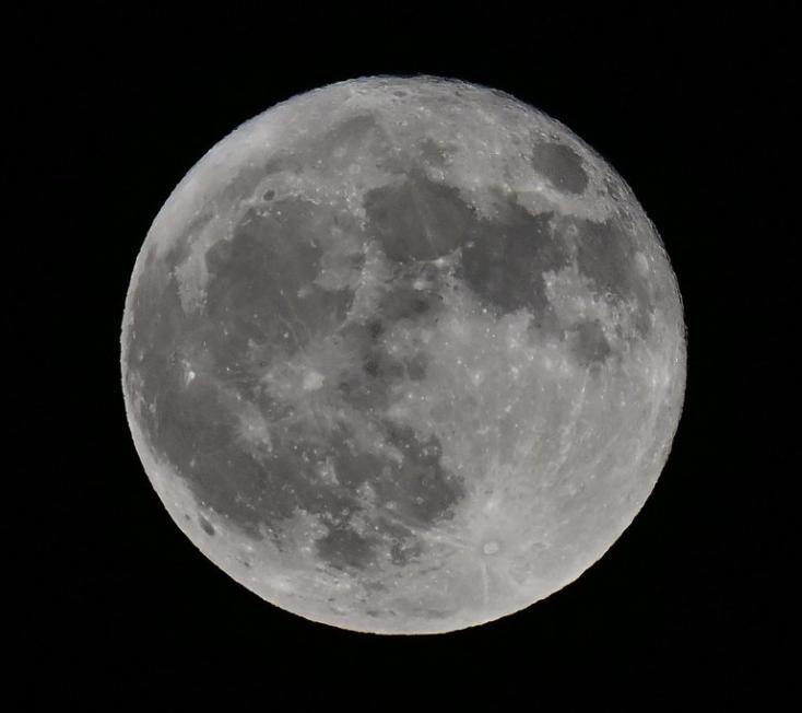 img_1724420725847_122.jpg?