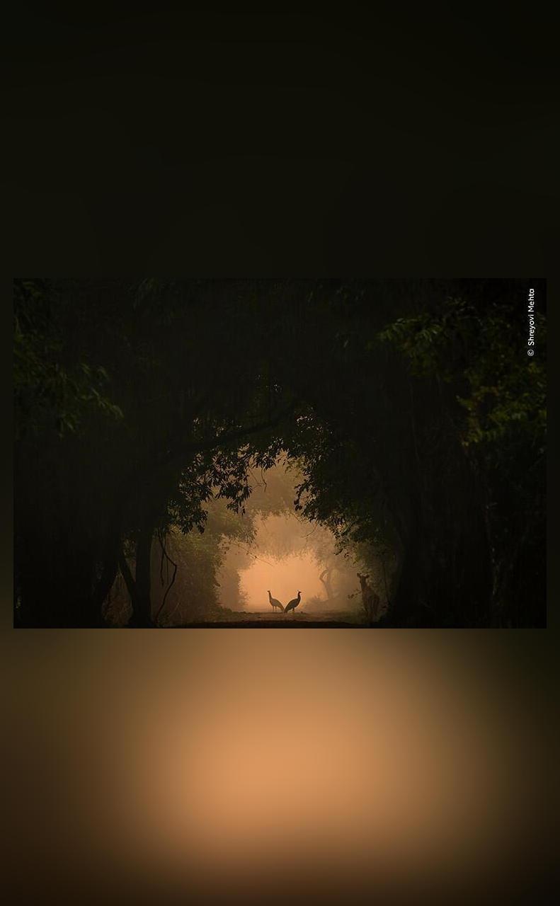 img_1725122470243_949.jpg?