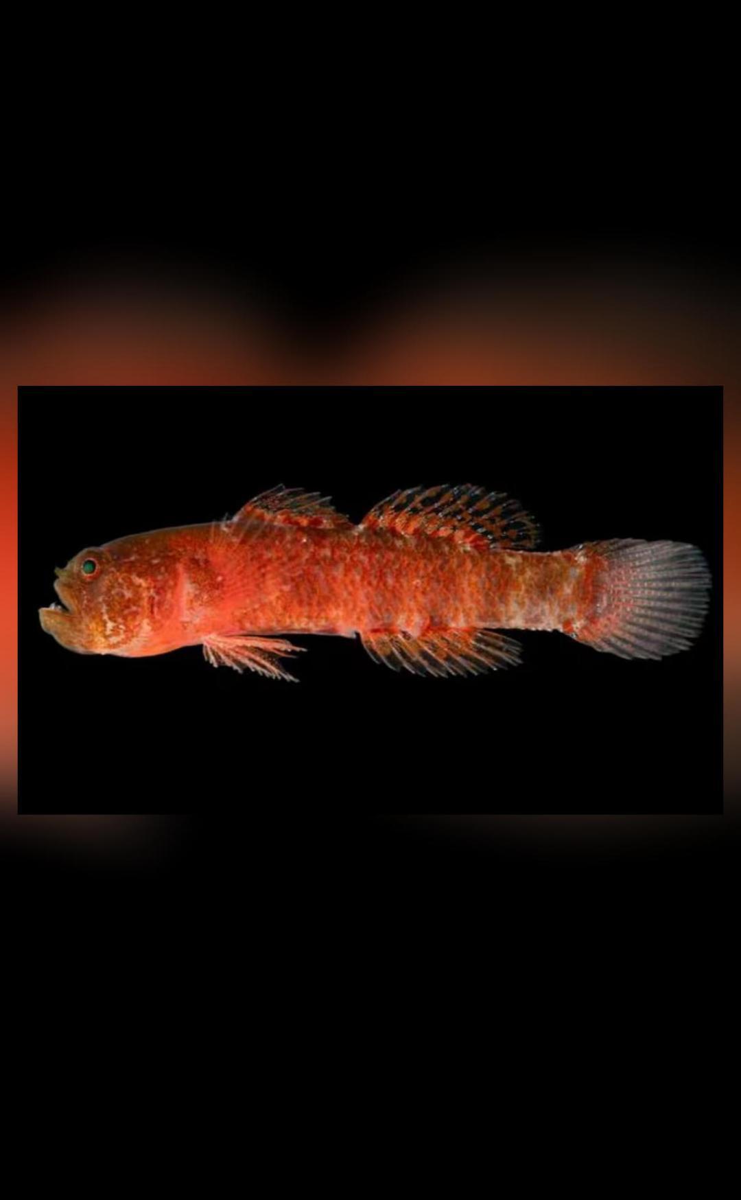 img_1726658006515_275.jpg?