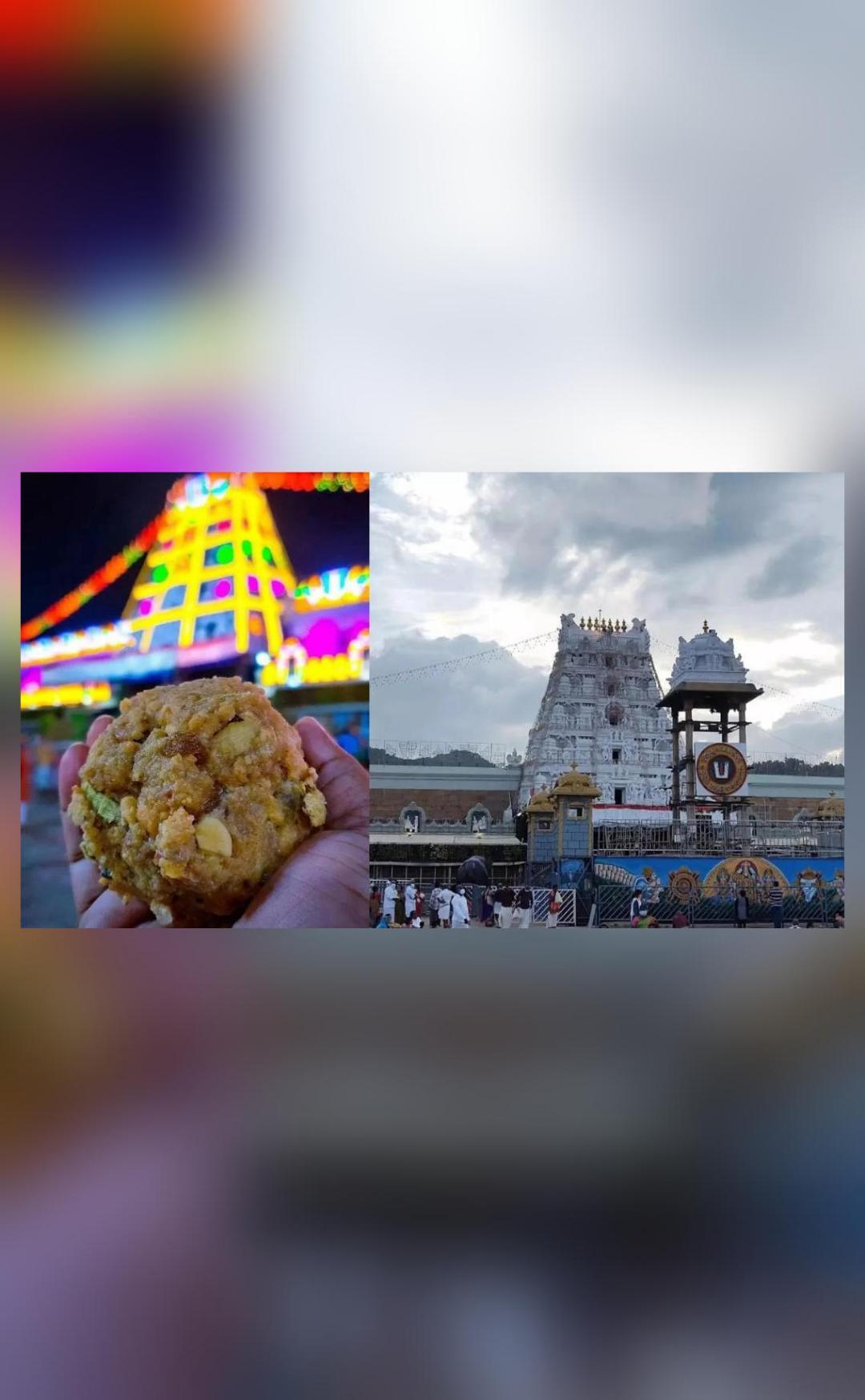 img_1727160413504_156.jpg?