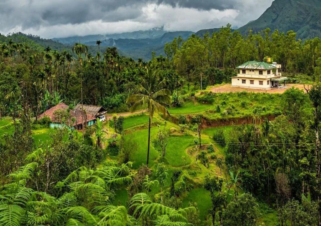 img_1727328175857_471.jpg?