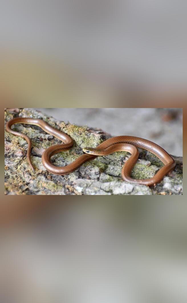 img_1729609829626_833.jpg?