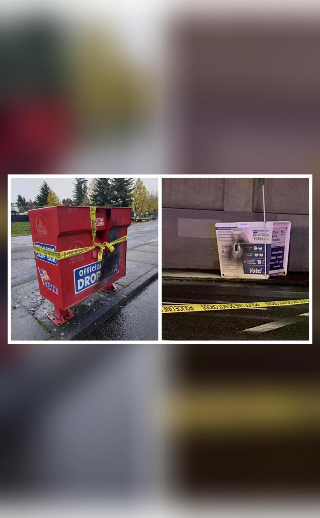 img_1730194207462_571.jpg?