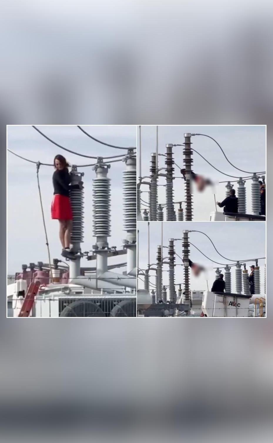 img_1731686470035_372.jpg?