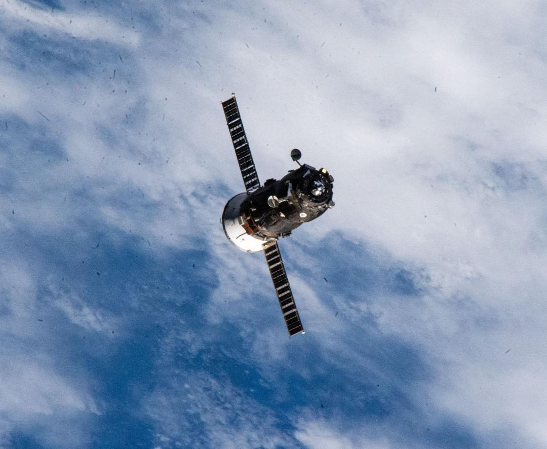 img_1732543420472_501.jpg?