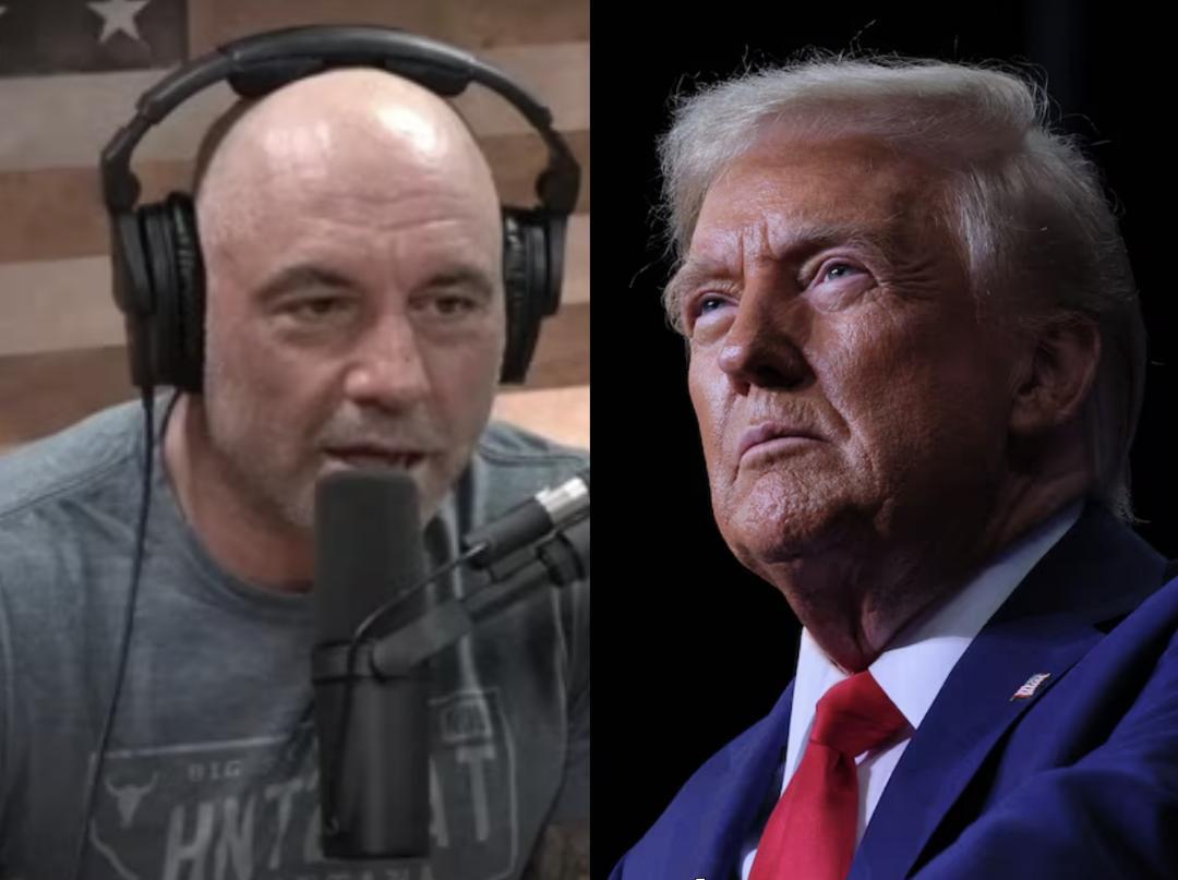 img_1730775219722_923.jpg?