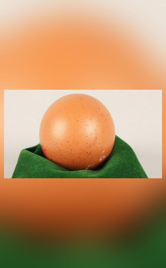 img_1734434835224_268.jpg?