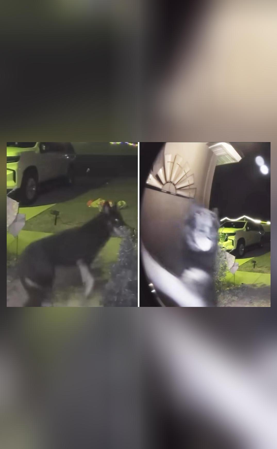 img_1735467172977_465.jpg?