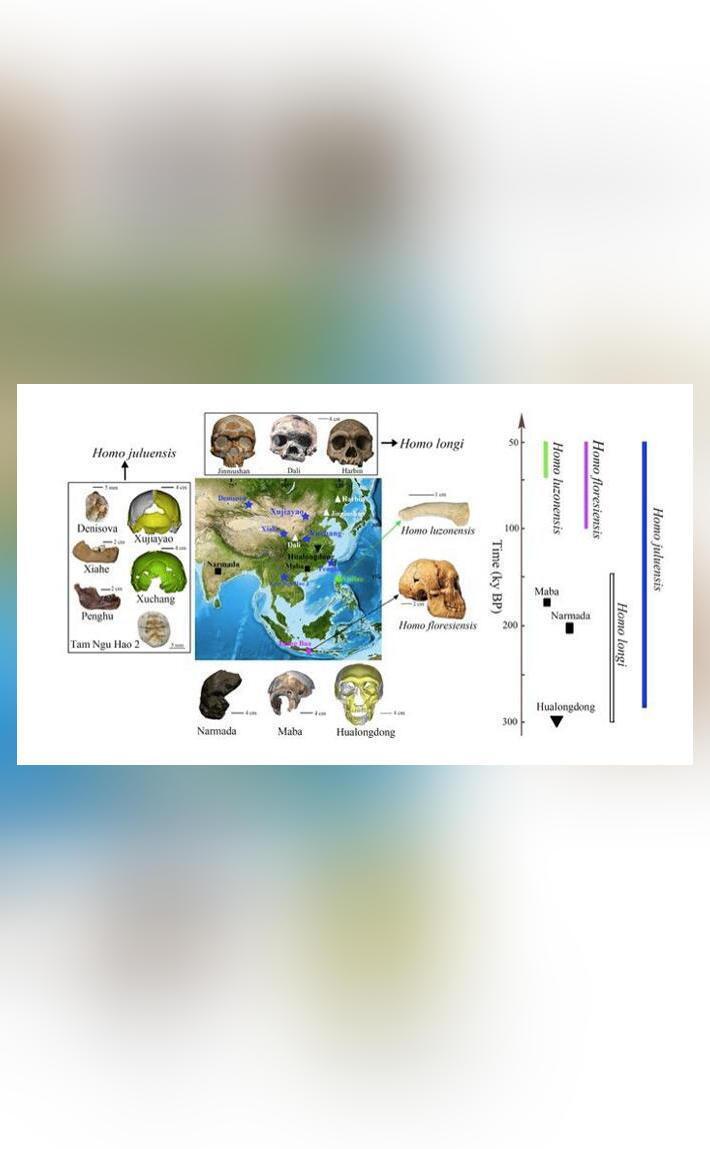 img_1733220360479_312.jpg?