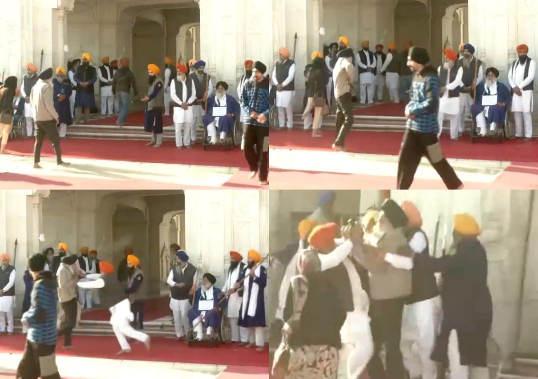 img_1733286165557_855.jpg?