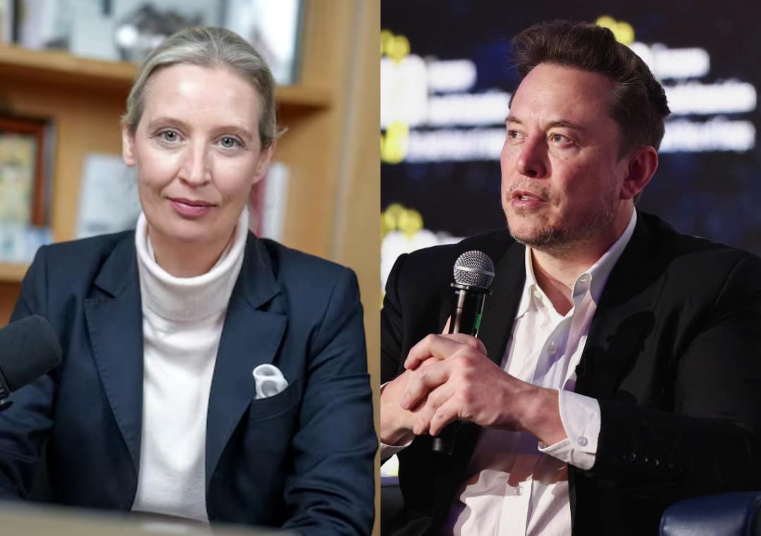Musk, German politician Weidel say Hitler was 'communist labelled as ...