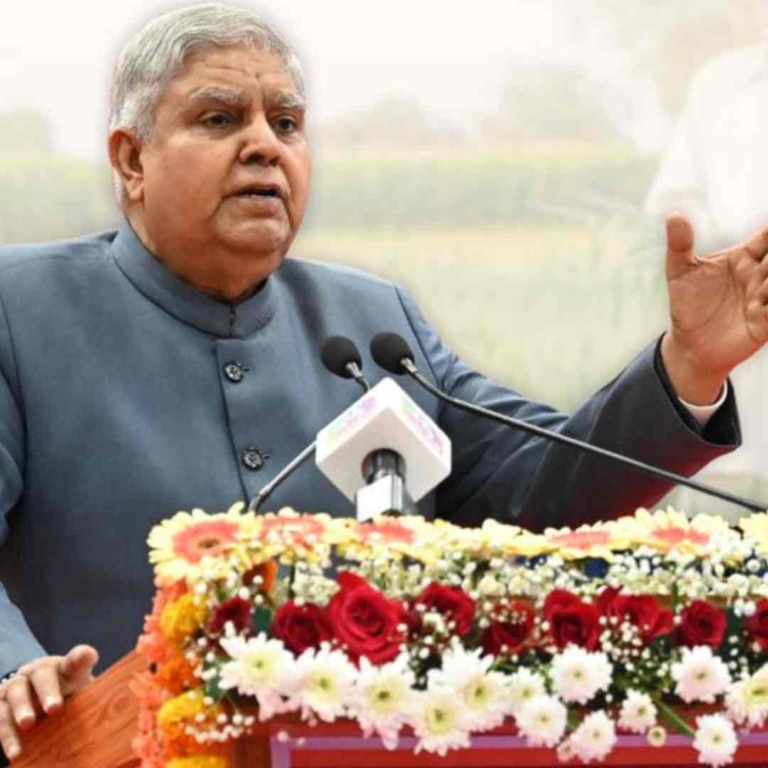 img_1737026460636_832.jpg?