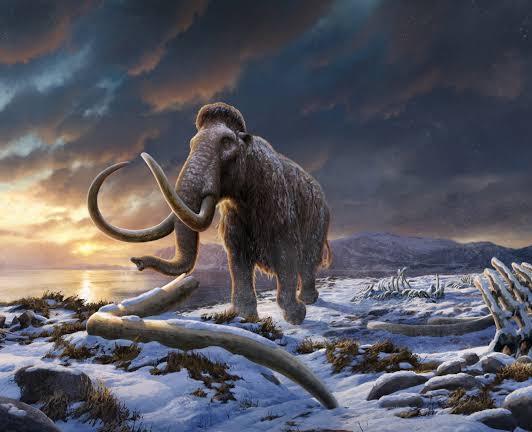 Colossal Biosciences raises $200 mn to bring back extinct animals ...