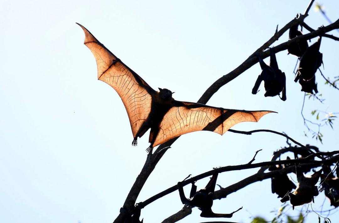 img_1740502631463_993.jpg?