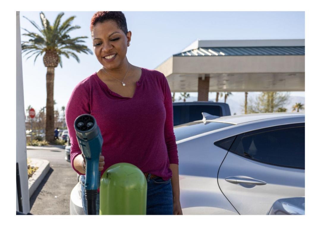 The top challenges faced by the EV industry in 2025 | Automobile News ...