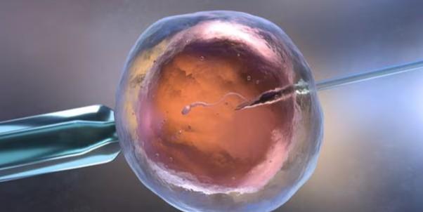 img_1744281804632_199.jpg?