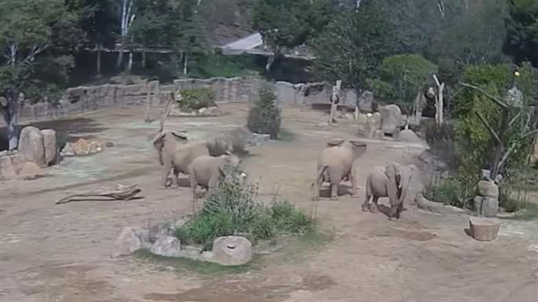 img_1744686409161_723.jpg?