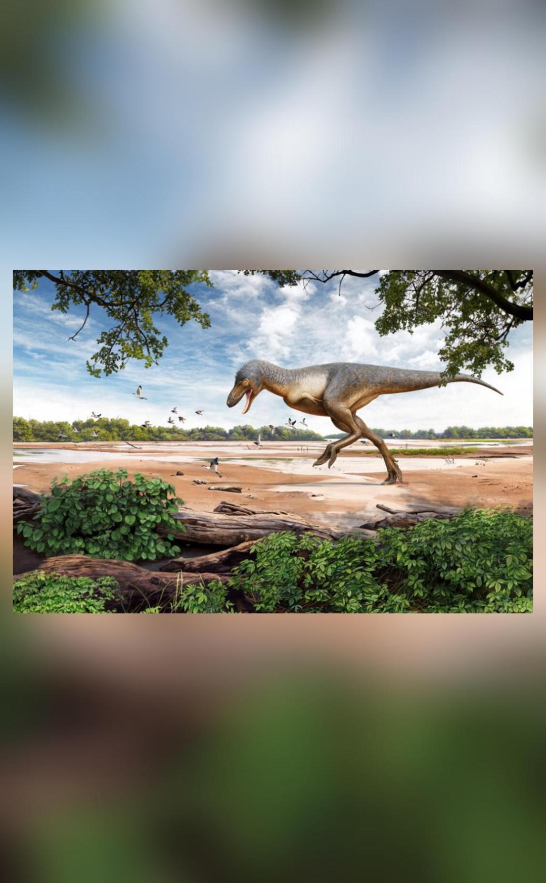 img_1745839299761_878.jpg?