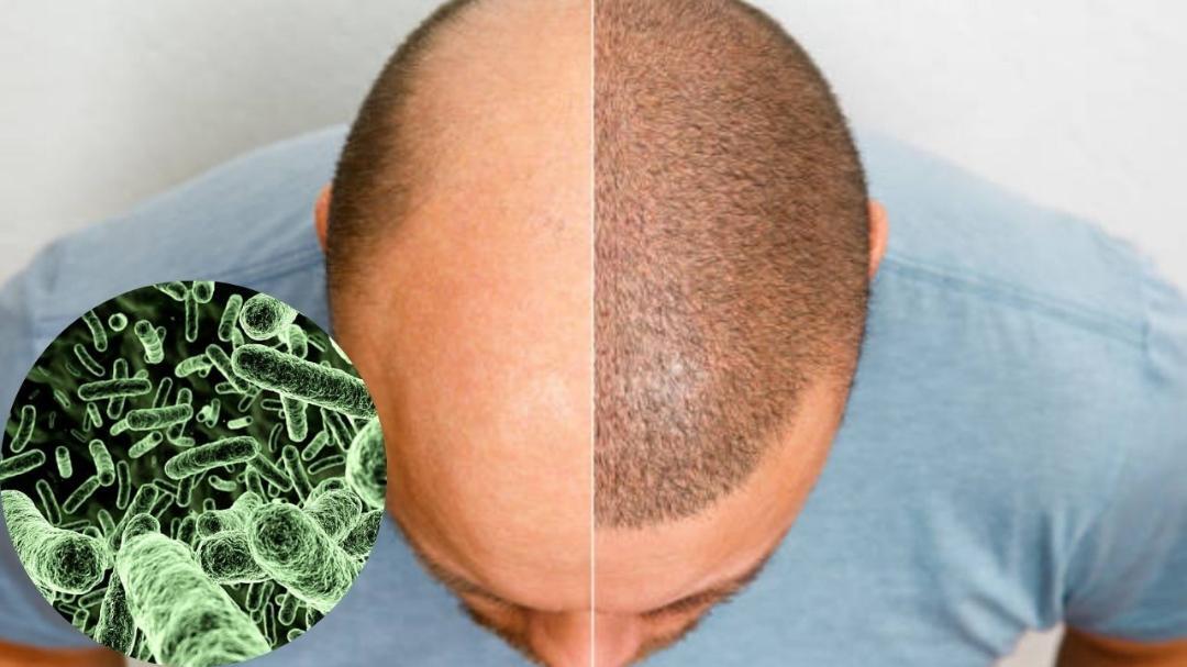 img_1747886280273_8.jpg?