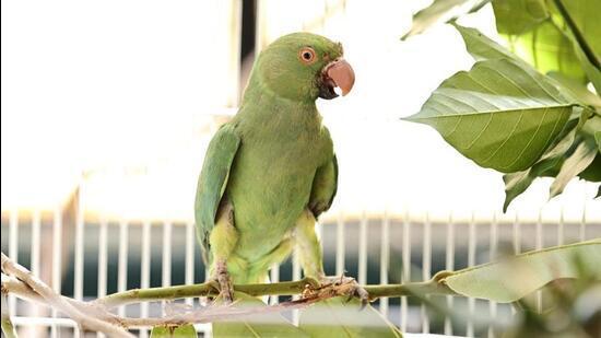 img_1746613669600_270.jpg?