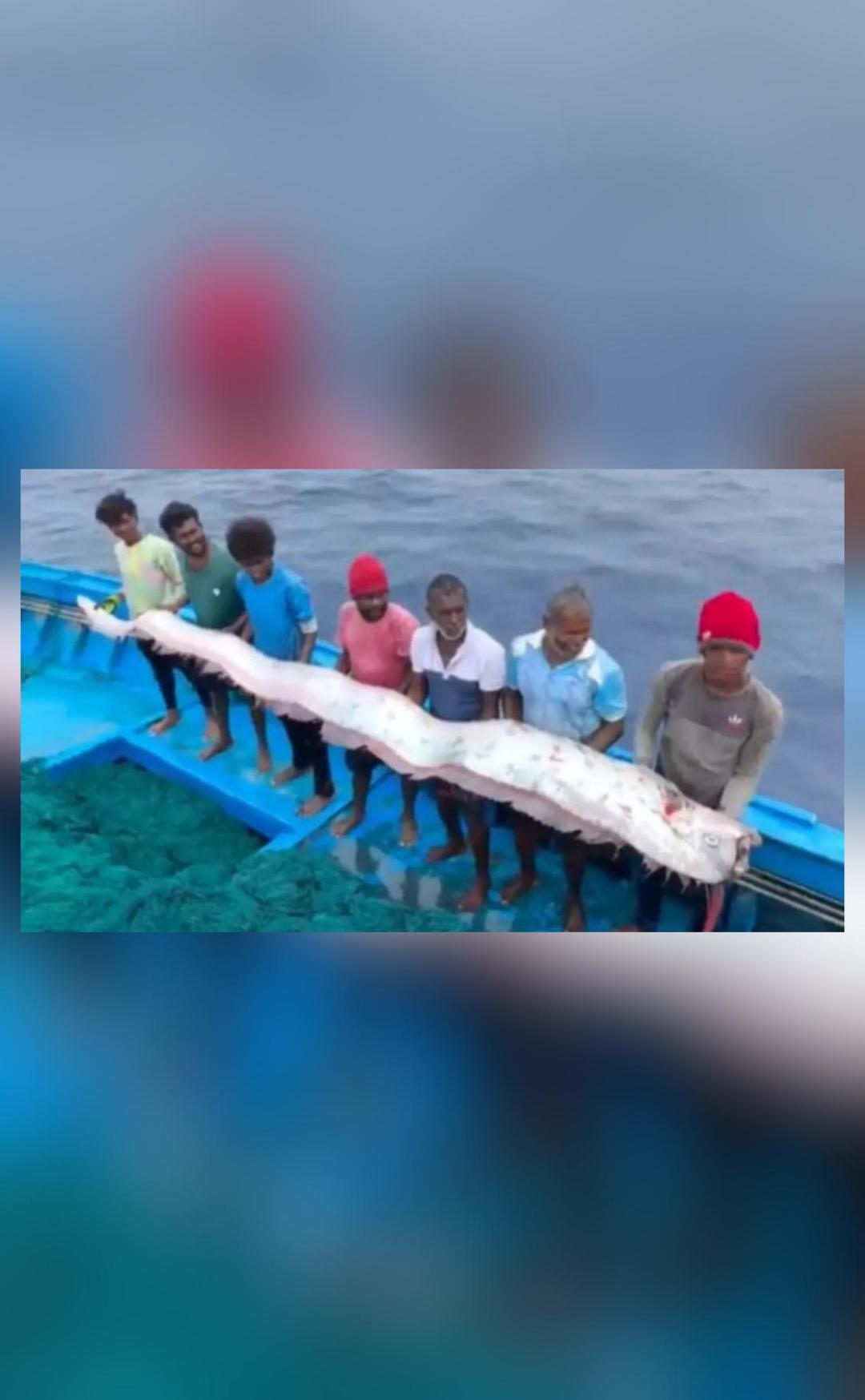 Huge 'doomsday' fish, said to be warning sign of disaster, spotted in ...