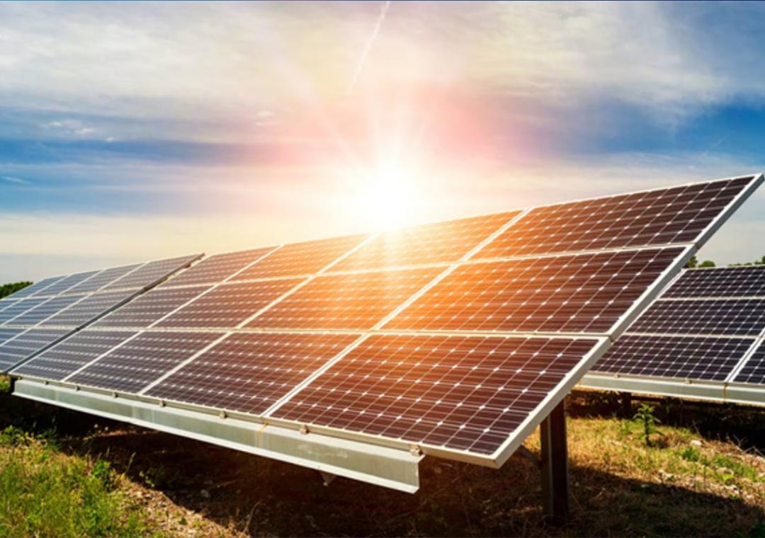 Solar startups shift focus from installation to innovation | World News ...
